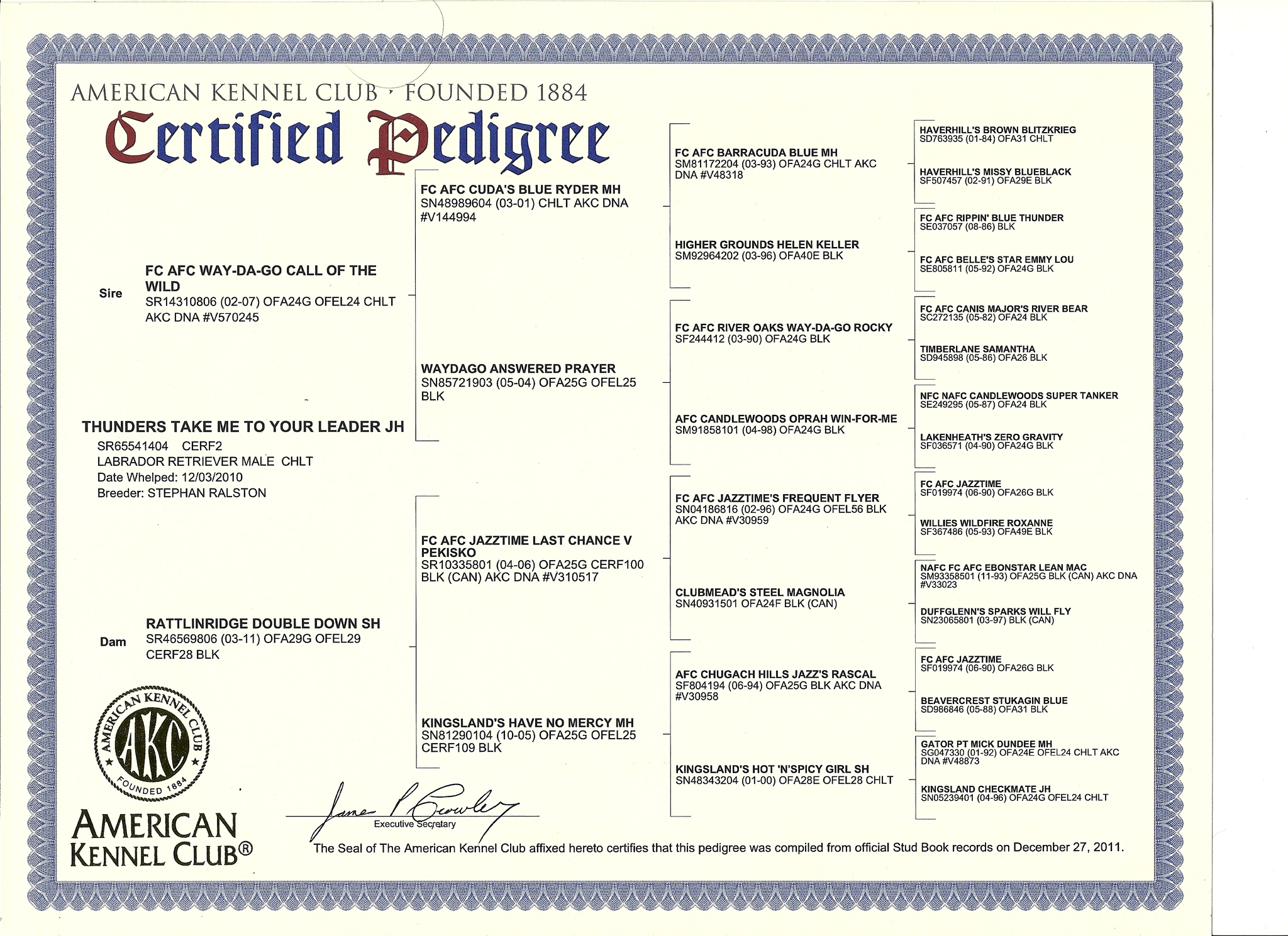 Pedigrees - Thunder Labradors Buying Process